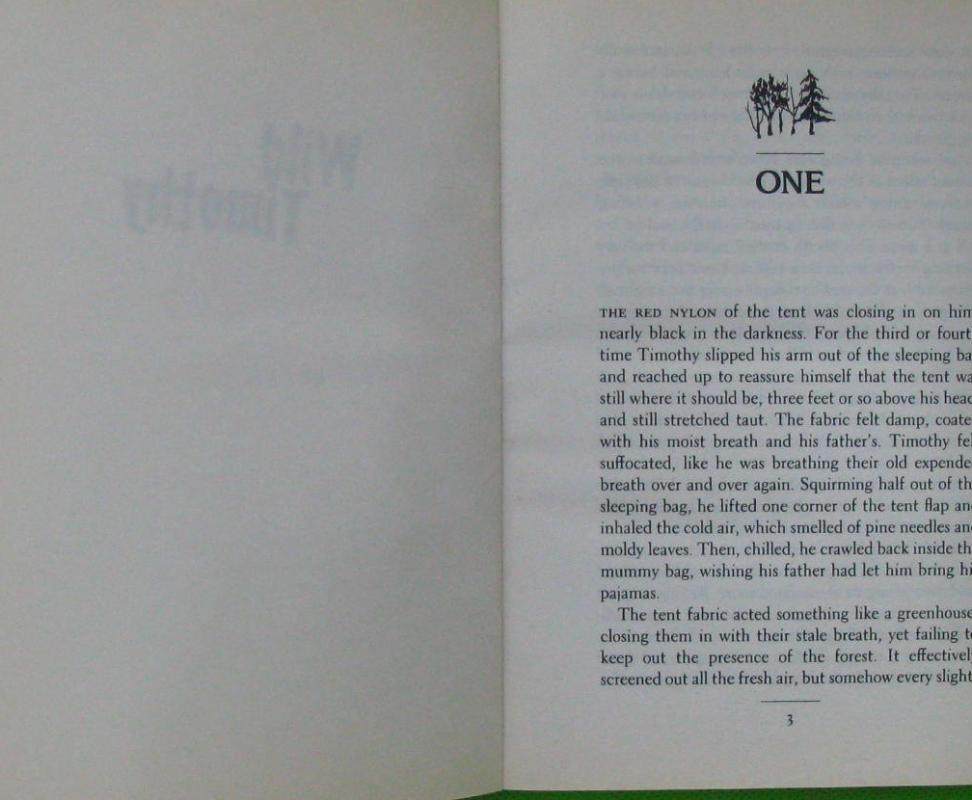 Wild Timothy by Gary L Blackwood平装Scholastic狂野的蒂莫西_虎窝淘