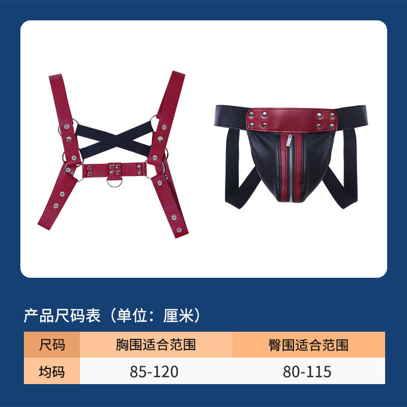 SHAKI夏奇男士专用内衣情趣套装角色扮演制服cos免脱内裤成人用品_虎窝淘