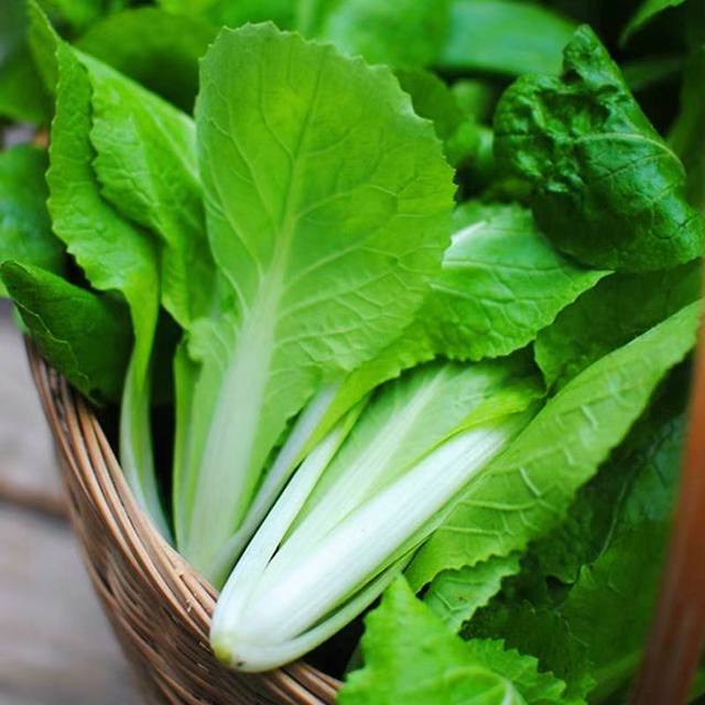 Four seasons sweet and crispy cabbage seeds small cabbage variety bangs ...