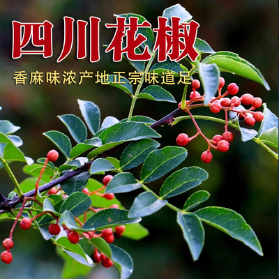 四川花椒红花椒粒辣椒特麻特级特香家用食用卤料调味料KHH