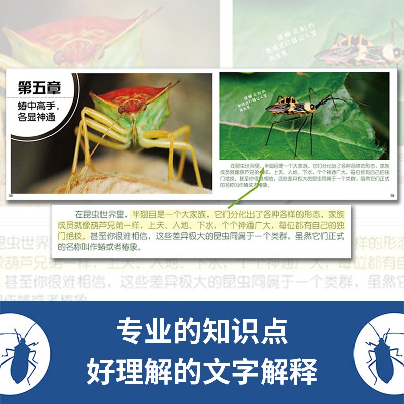 【全5册】博物大发现我的1000位昆虫朋友 1200余幅可爱大片JST5位昆虫大神带你探访中国昆虫的5大家族磨铁图书正版酷虫学校同类书_虎窝淘