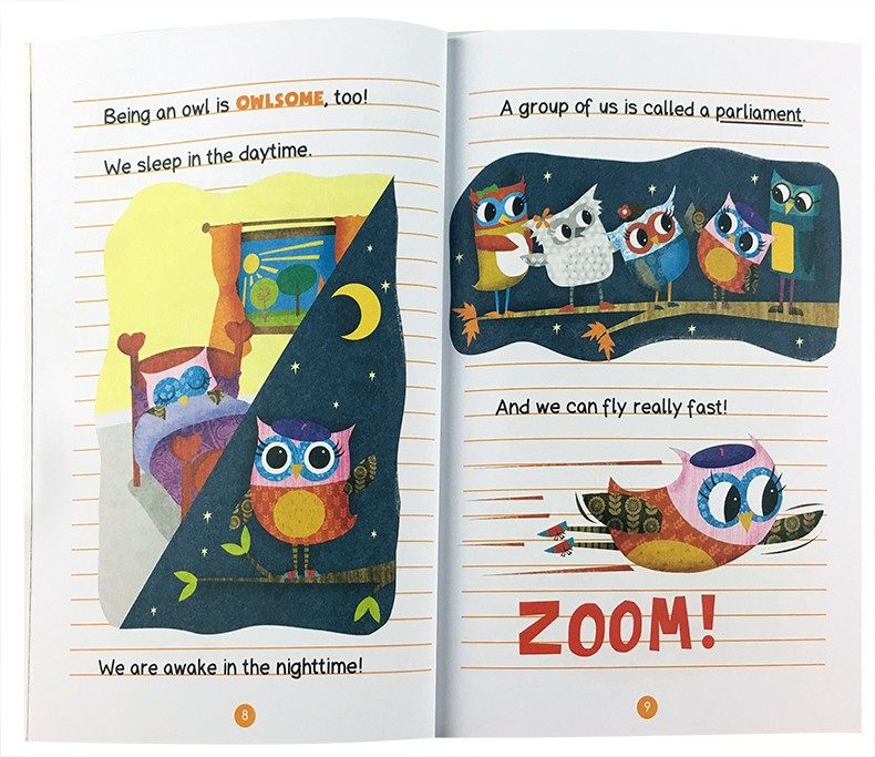 猫头鹰日记Owl Diaries【18册】英文原版Scholastic Branches学乐大树系列儿童桥梁章节书英语课外阅读提升读物书籍童书 ...