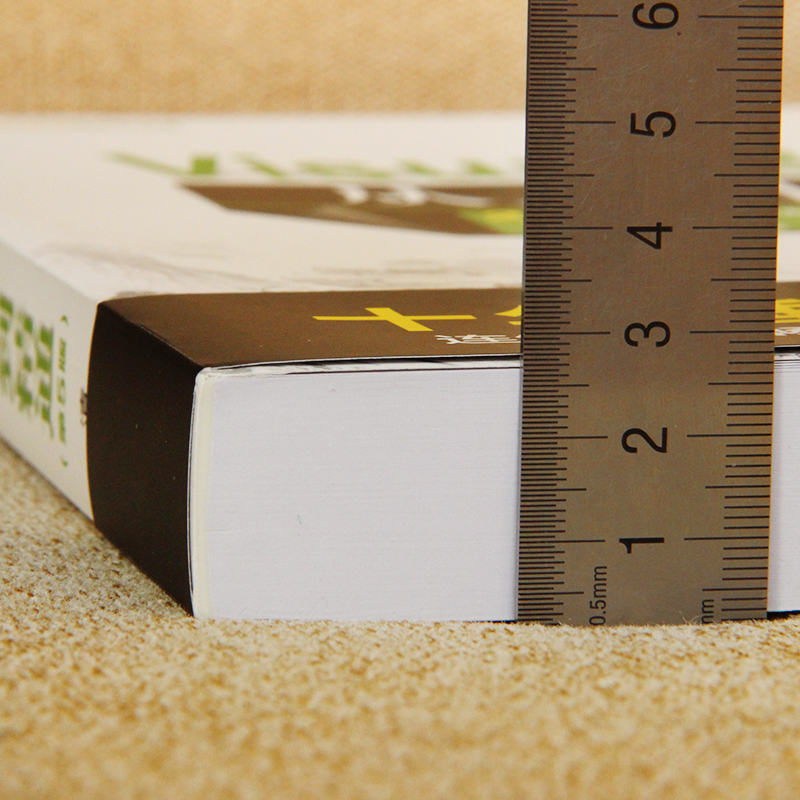 Visual Basic从入门到精通第5五版 Vb语言程序设计教程书visual Basic编程零基础入门自学教材 Vb计算机软件电脑web前端开发书籍虎窝淘