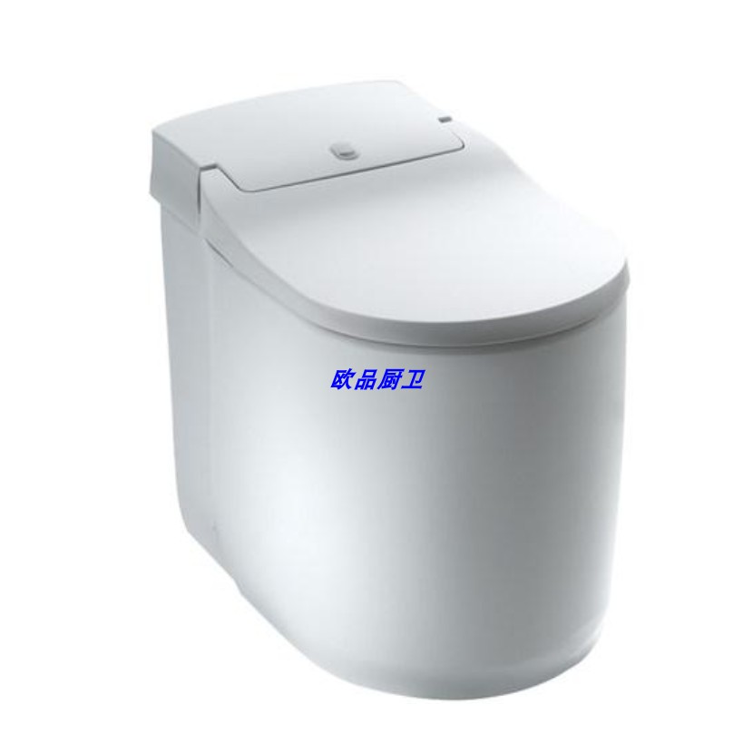 高仪雅瑞娜落地式马桶一体智能坐便器39878SH0 39844SH0 39934SH0_虎窝淘