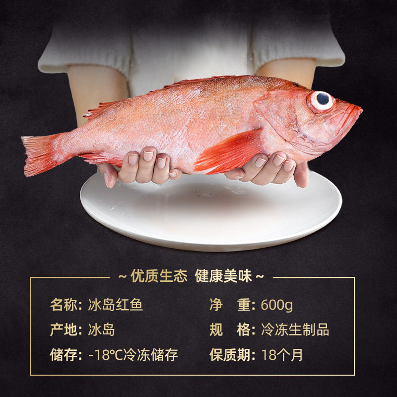 红鱼深海,红鱼,深海海底_文秘苑图库