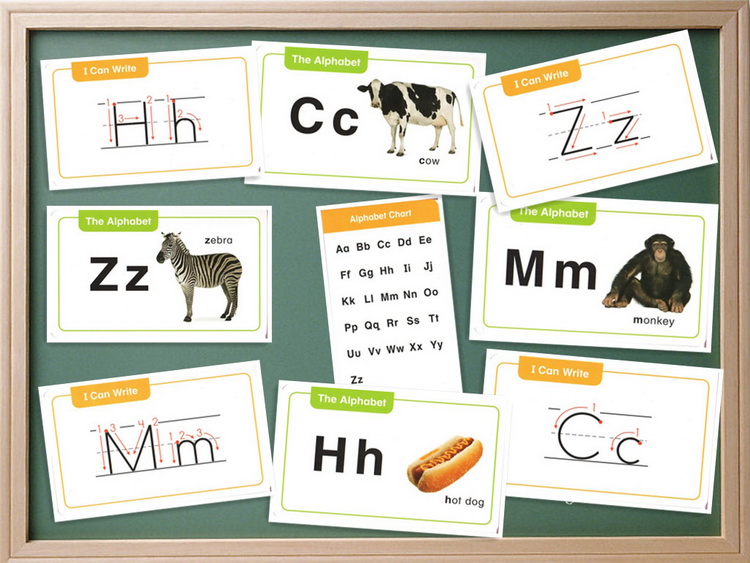 英文原版 The Learning Line Flashcard The Alphabet闪记学习卡英文字母 3岁以上美国加州教辅 Evan ...