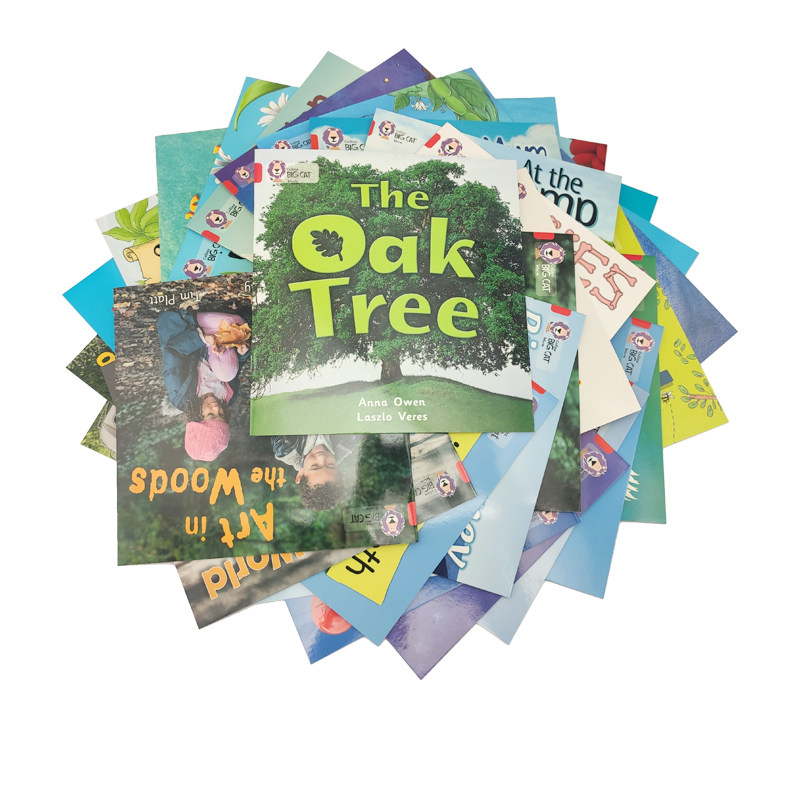 【级别2红色套装AB】Collins Big Cat柯林斯大猫系列分级阅读 Big Cat Set Red AB 44册适合4-6岁英文原版 ...