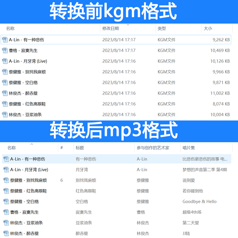 酷狗音乐格式转换kgm kgma flac转mp3无损批量转换win转换软件mac_虎窝淘