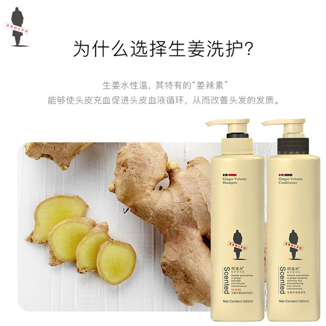 Adolf ginger shampoo anti-hair loss and hair loss flagship store ...