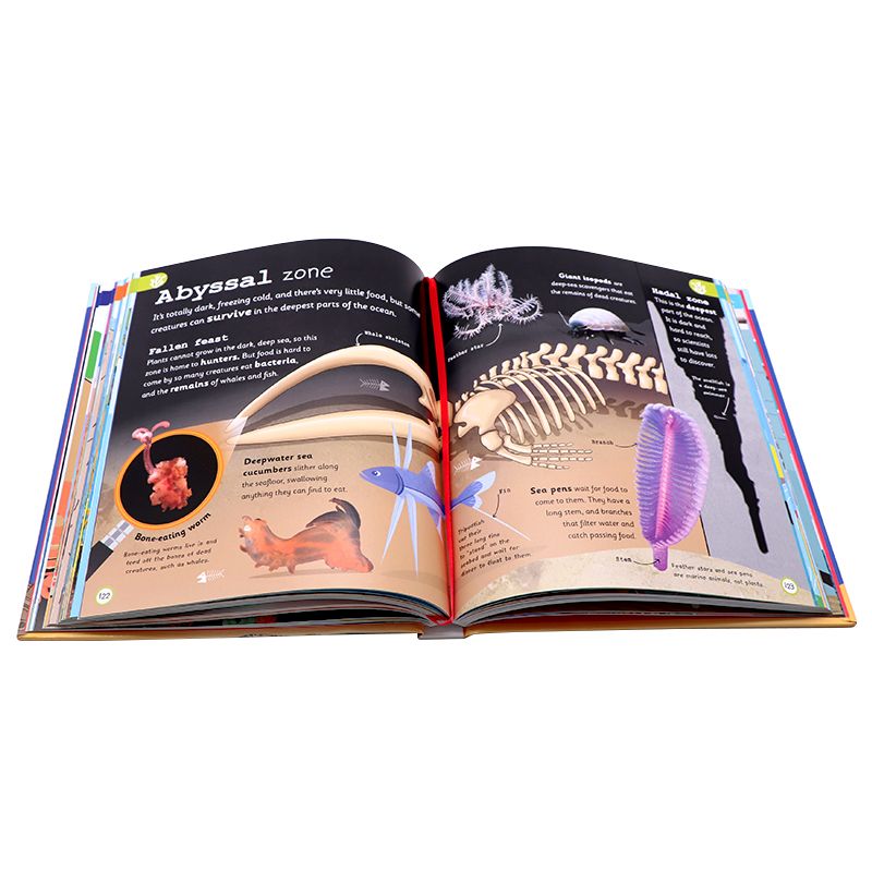 现货进口英文原版 DK海洋百科全书 My Encyclopedia of Very Important Oceans那些重要的海洋生物少儿科普 ...