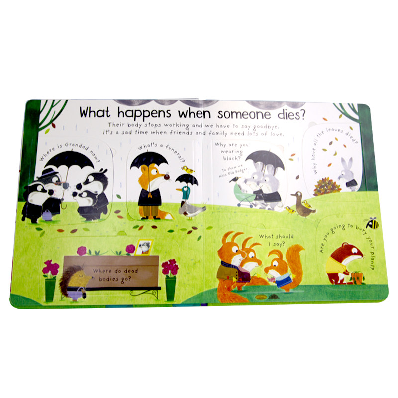 英文原版 Usborne First Questions and Answers Why Do Things Die?生命循环纸板翻翻书科普 ...