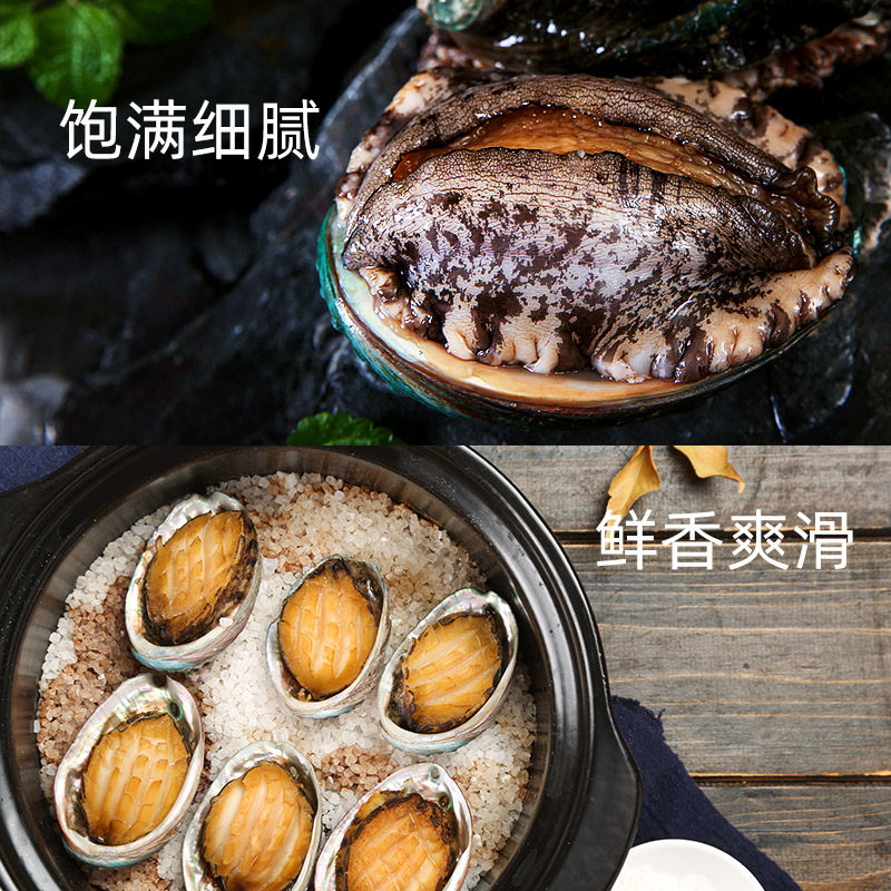 【鲜活到家】味库福建鲍鱼1斤（15-18只）新鲜海鲜水产_虎窝淘
