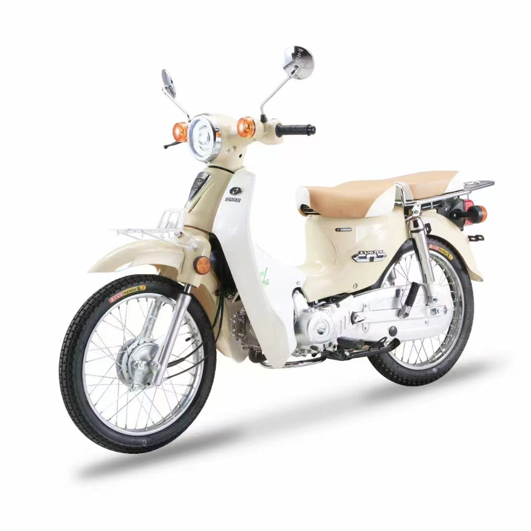 洛嘉后浪弯梁复古摩托车110两轮国四电喷嘉陵COCO幼兽全国可蓝牌_虎窝淘