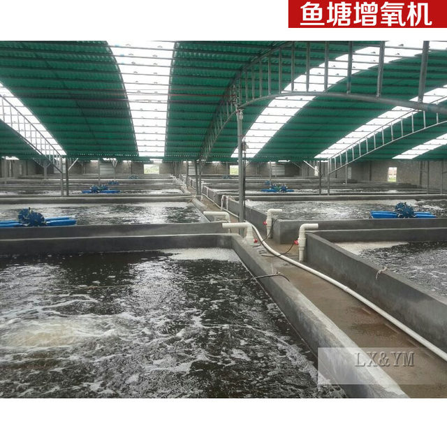 Shanghai Yimin YC3-0.75yC5-1.5KW Aquatic Oxygen Magnatan Fish Ponds and ...