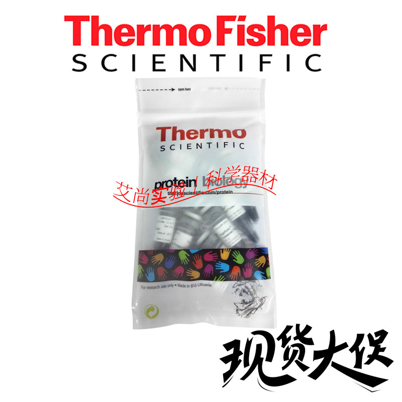 thermo26616条带图-千图网
