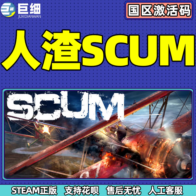 pc中文游戏人渣steam SCUM 正版激活码scum 国区激活码cdkey_虎窝淘
