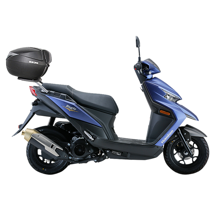 适用国四超级鹰super Eagle HJ125T-32后货架尾架夏德尾箱后备箱_虎窝淘