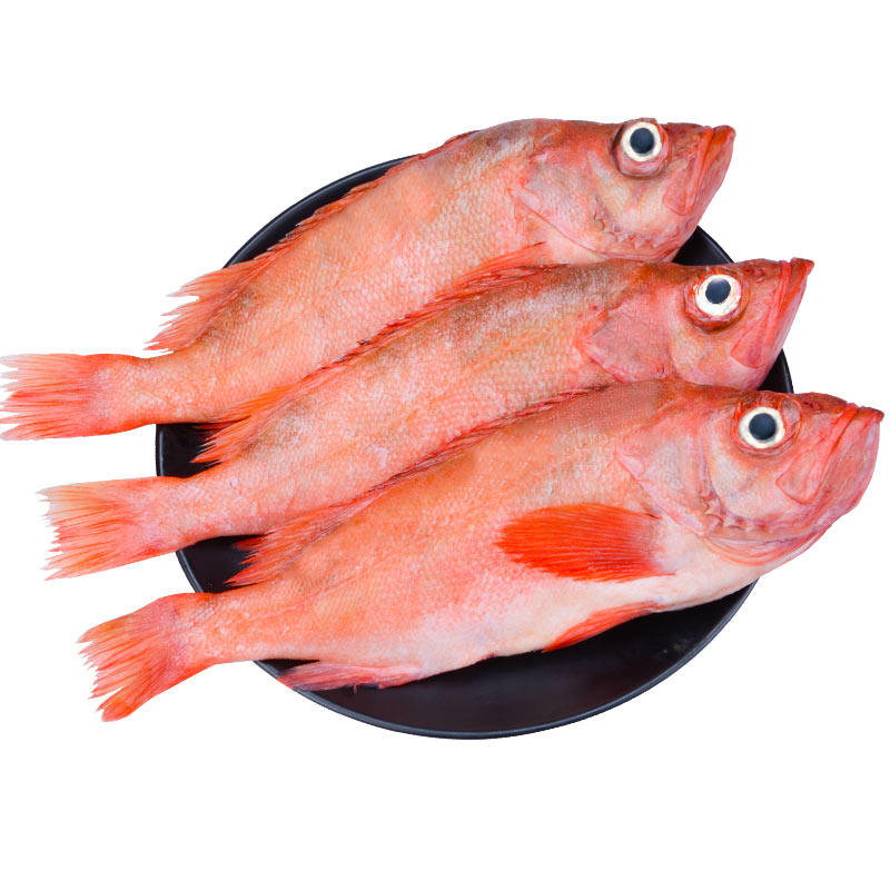 红鱼深海,红鱼,深海海底_大山谷图库