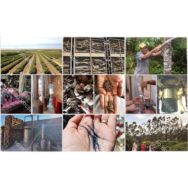 SO家典藏版稀珍高端Demeter单方精油3ml装新手慎拍收藏级精油_虎窝淘