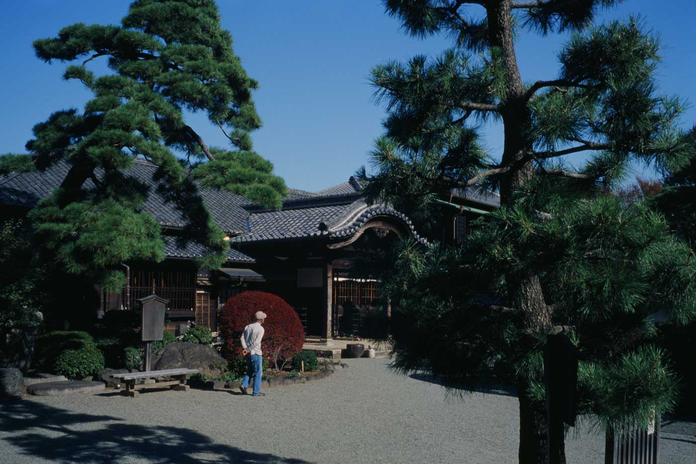 KODAK柯达 5294 E100D 135彩色反转片电影卷分装卷胶片胶卷 36张_虎窝淘