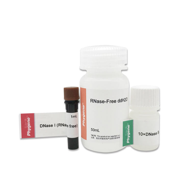 脱氧核糖核酸酶I DNase I(RNase free) 2000U[PH1407 PHYGENE]_虎窝淘