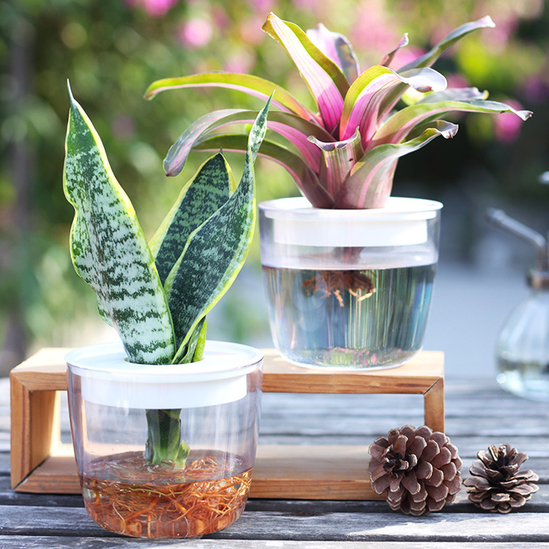 G214全透明水培花盆花瓶_虎窝淘