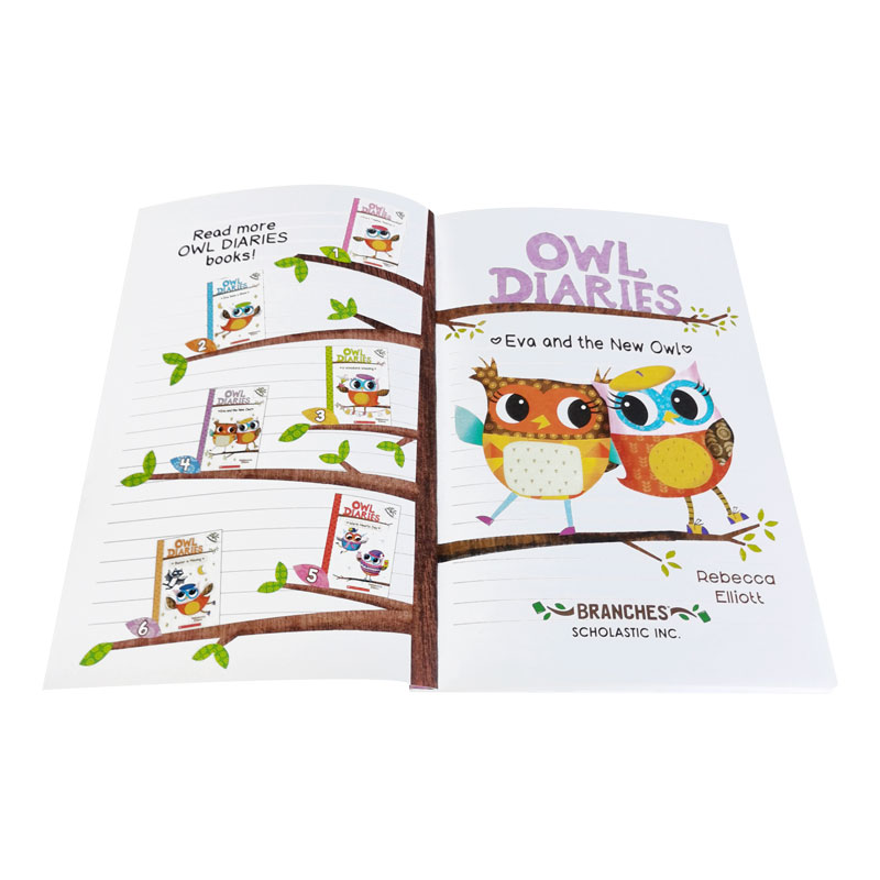 【送音频】猫头鹰日记英文原版Owl Diaries#4:EVA AND THE NEW OWL桥梁章节书Scholastic Branches ...