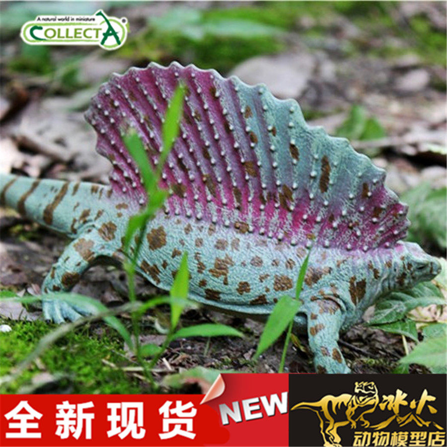 COLLECTA我你他野生动物恐龙模型玩具基龙 88840全新现货_虎窝淘