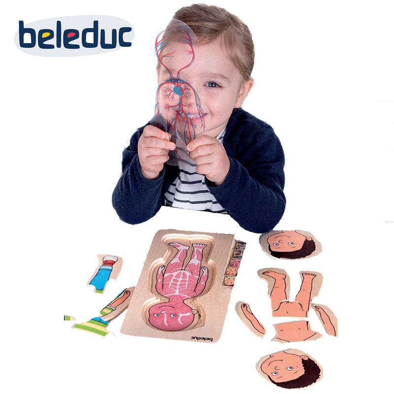 德国beleduc男孩女孩多层立体拼图玩具儿童人体构造身体部位认知_虎窝淘