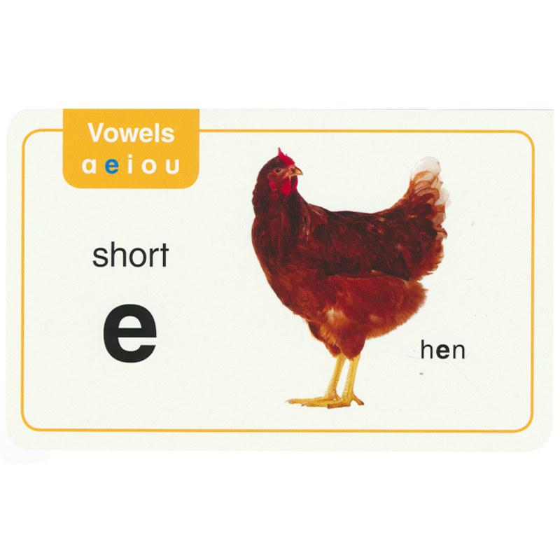 Evan-Moor Learning Line Flashcards Collection美国加州教辅英语单词卡加数学便捷套装闪记学习卡 12 ...