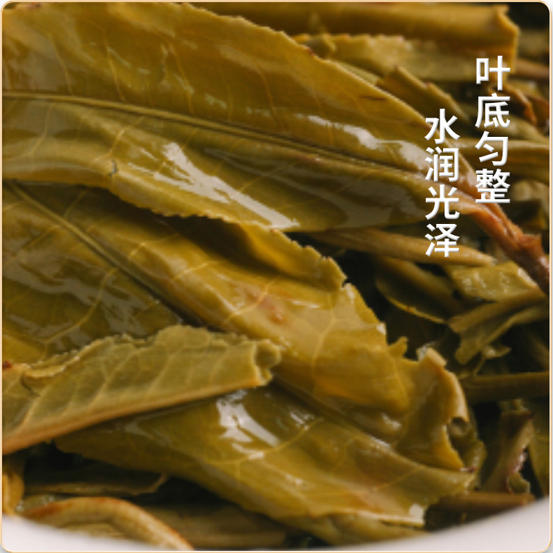 龙润茶鸿兔生肖纪念茶2022年临沧普洱茶生茶生普云南茶叶357g茶饼_虎窝淘