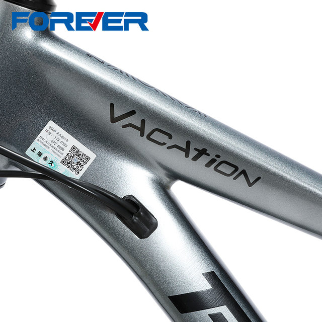 Shanghai Permanent Mountain Bicycle Male Adult Garway Bicycle Cross ...