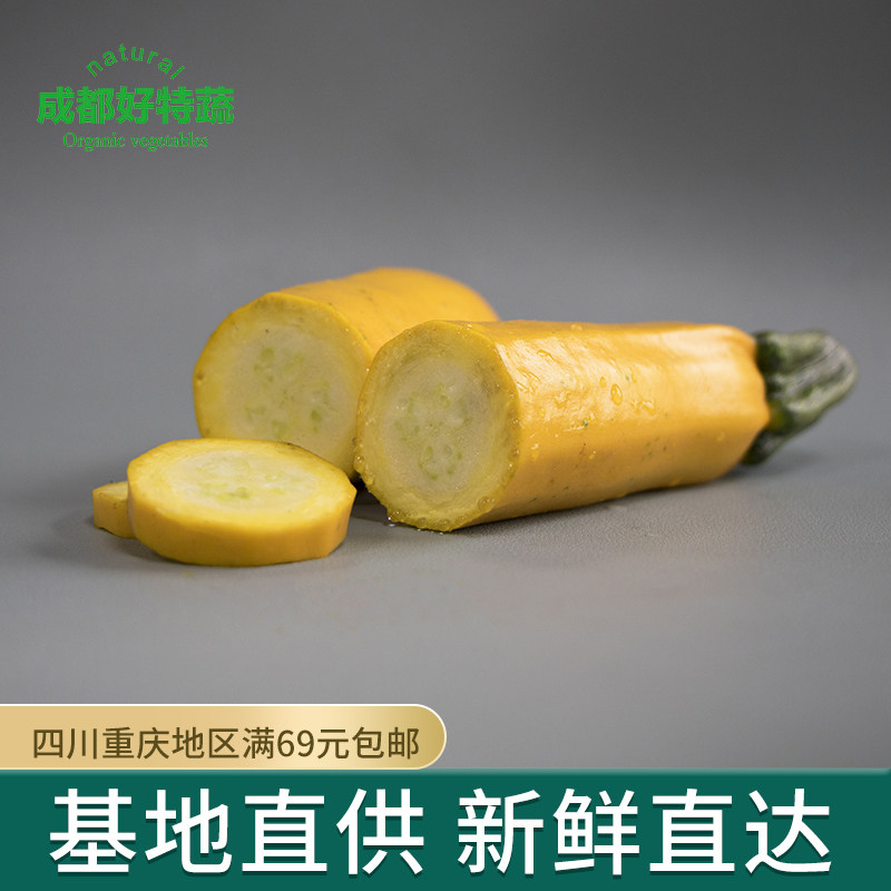 黄节瓜西餐小南瓜新鲜蔬菜西餐食材顺丰包邮Yellow Squash 500g_虎窝淘
