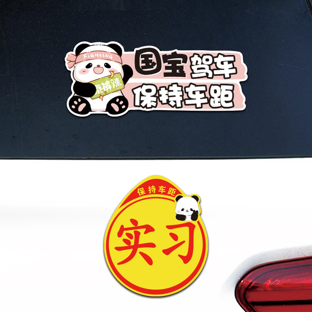 Internship car stickers for novice female drivers on the road magnetic ...
