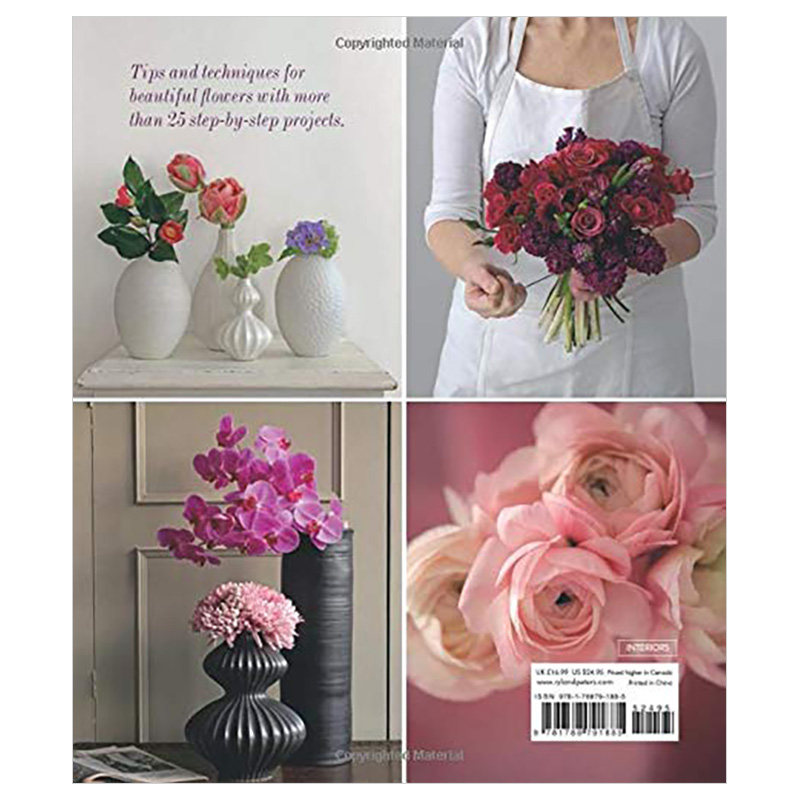 【现货】Jane Packer‘s Flower Course简·帕克的花卉课程:简单的插花技巧_虎窝淘