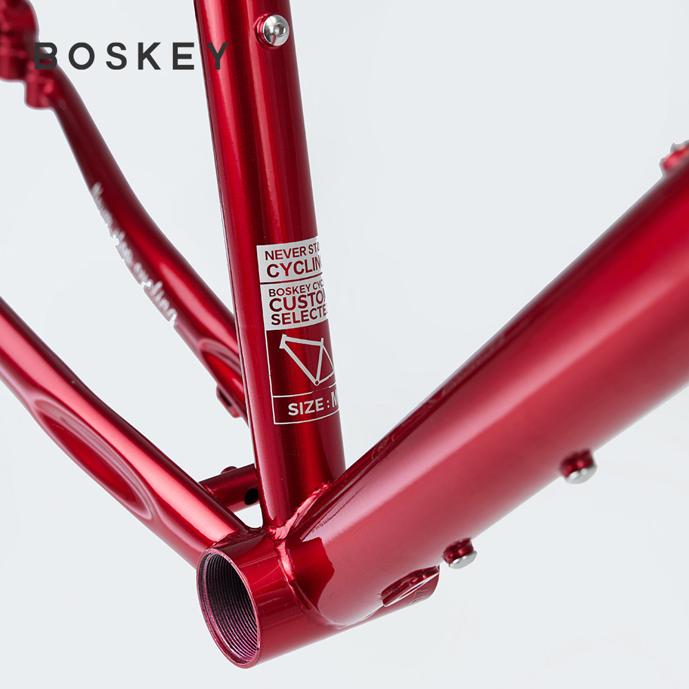 BOSKEY不死骑 Archer Gravel瓜车公路车碟刹桶轴钢架碳叉车架_虎窝淘