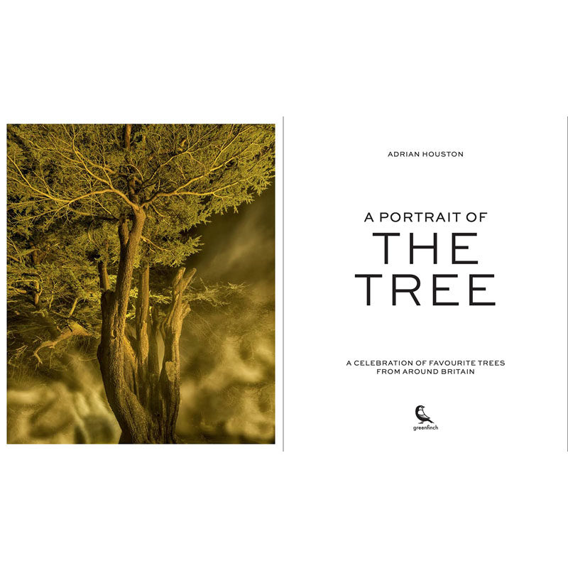 【预售】英文原版 A Portrait of the Tree树的肖像 Adrian Houston适合自然资源保护环保主义者和自然爱好者树木 ...