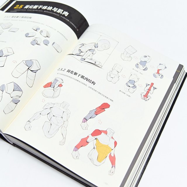 Special training in animation human body structure expression ...