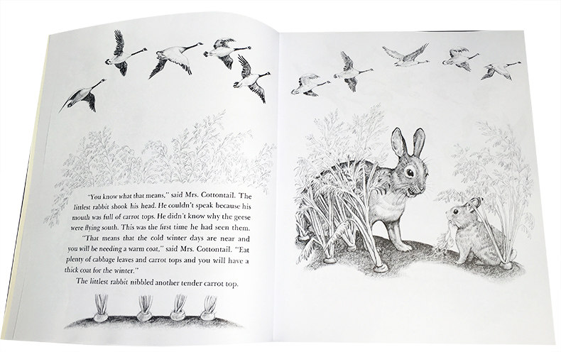 1949年凯迪克金奖大雪英文原版 The Big Snow故事绘本圣诞书单_虎窝淘