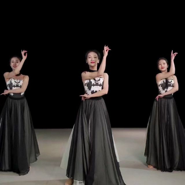 Xia Hui's same style dance skirt Classical dance elegant double -layer ...