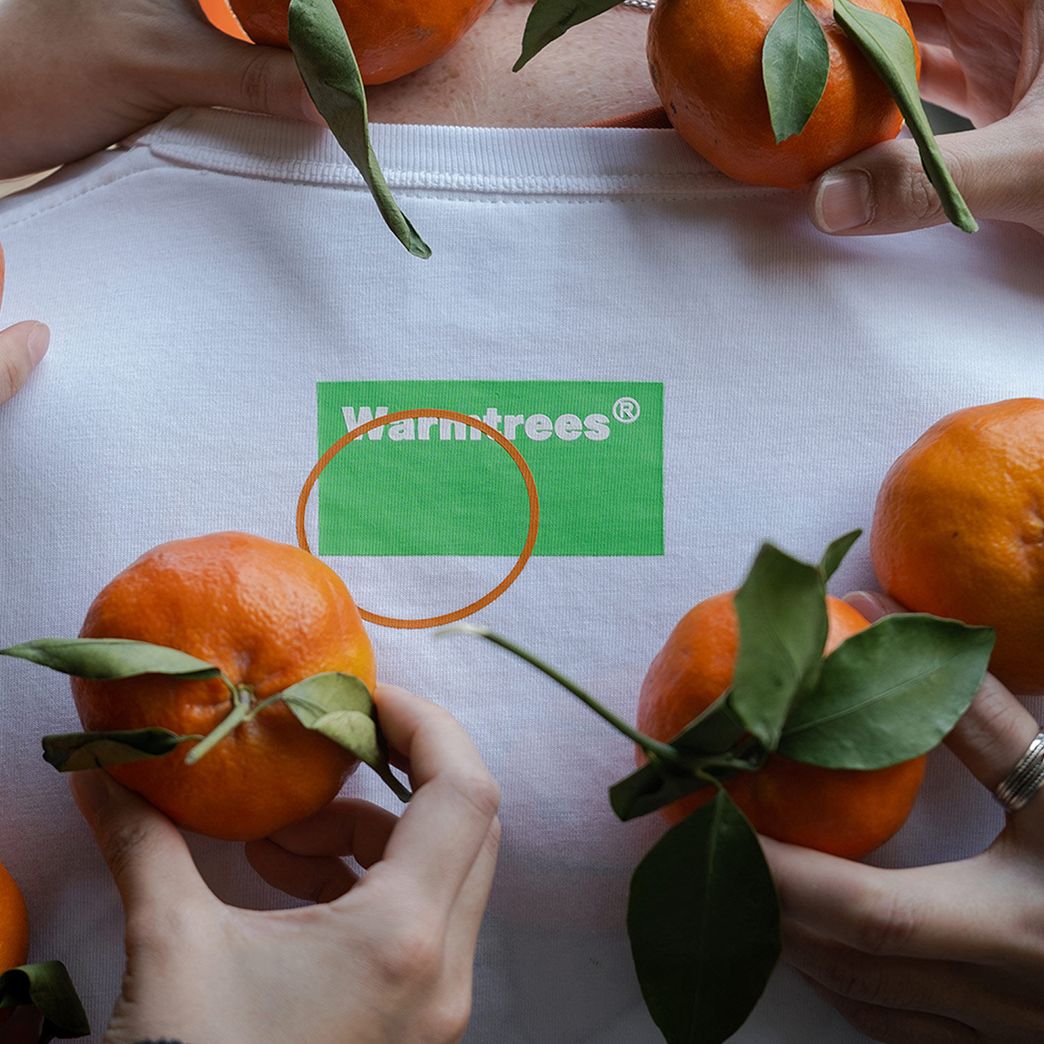 WARMTREES福桔白色短袖T恤宽松夏季_虎窝淘