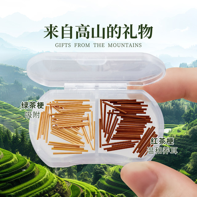 Tea stem ear sticks and ear piercings and ear studs for female students ...