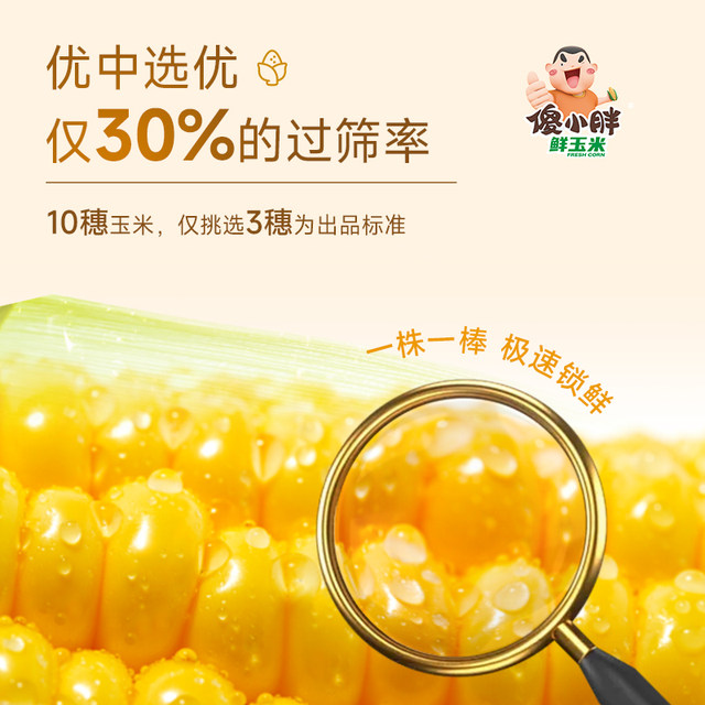 Silly Fat Inner Mongolia fresh glutinous corn fresh sweet corn ...