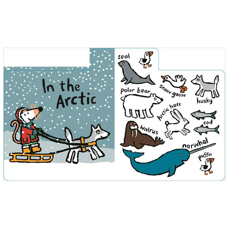 【现货】【Maisy小鼠波波】Animals动物英文原版儿童绘本 3-6岁【善优童书】_虎窝淘