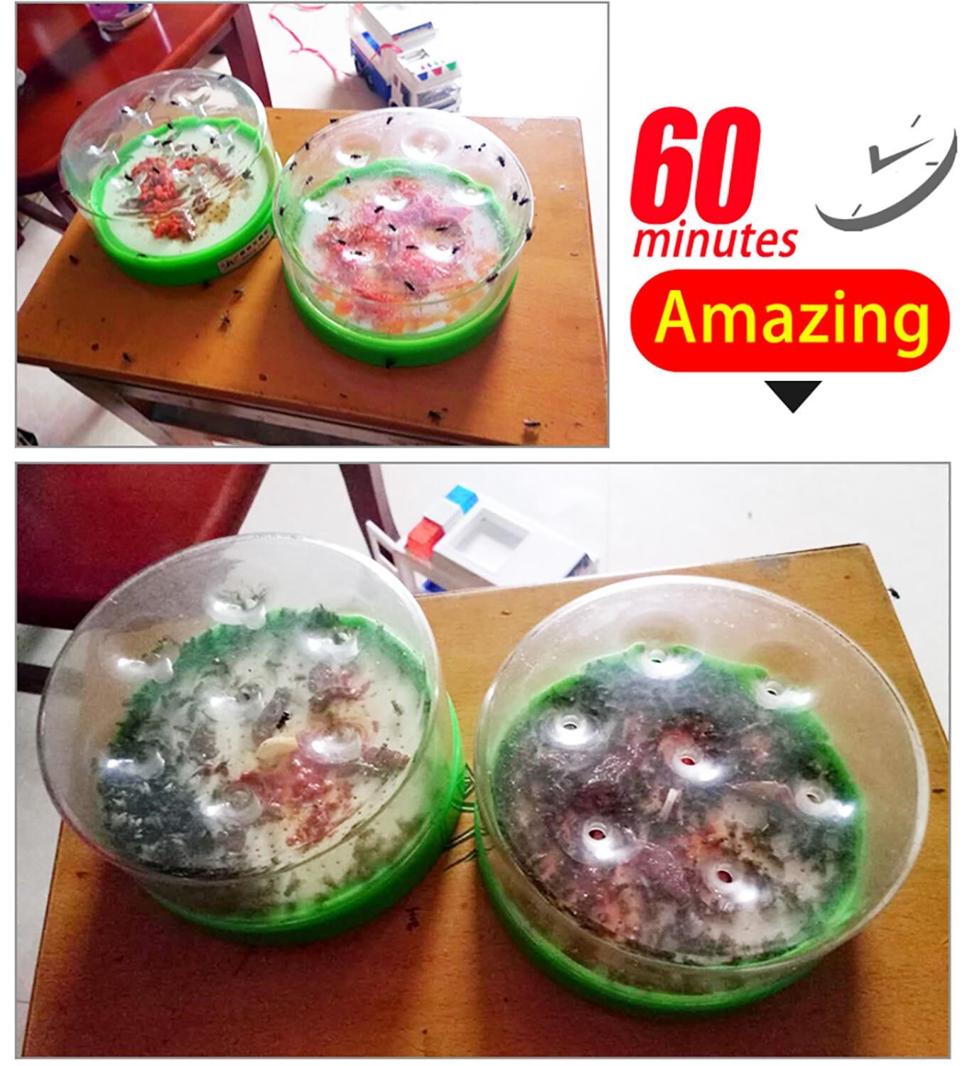 Reusable Clear Green Killing Fruit Fly Catcher Flies Killer_虎窝淘