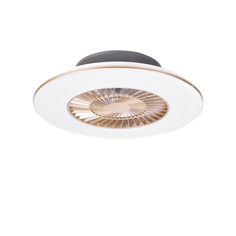Modern Fashion Ceiling Fan With Light Round Invisible Fans_虎窝淘