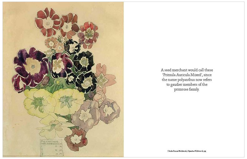 正版现货 The Book of the Flower Flowers in Art花之书艺术的花英文原版进口植物花卉绘画集画册艺术花卉插画集书籍畅销书_虎窝淘