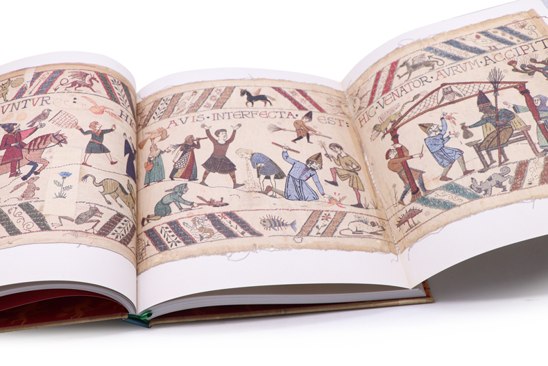 【哈利波特豪华精装收藏版】魁地奇溯源图例Harry Potter Quidditch illustrated deluxe英文原版彩绘插图版 ...