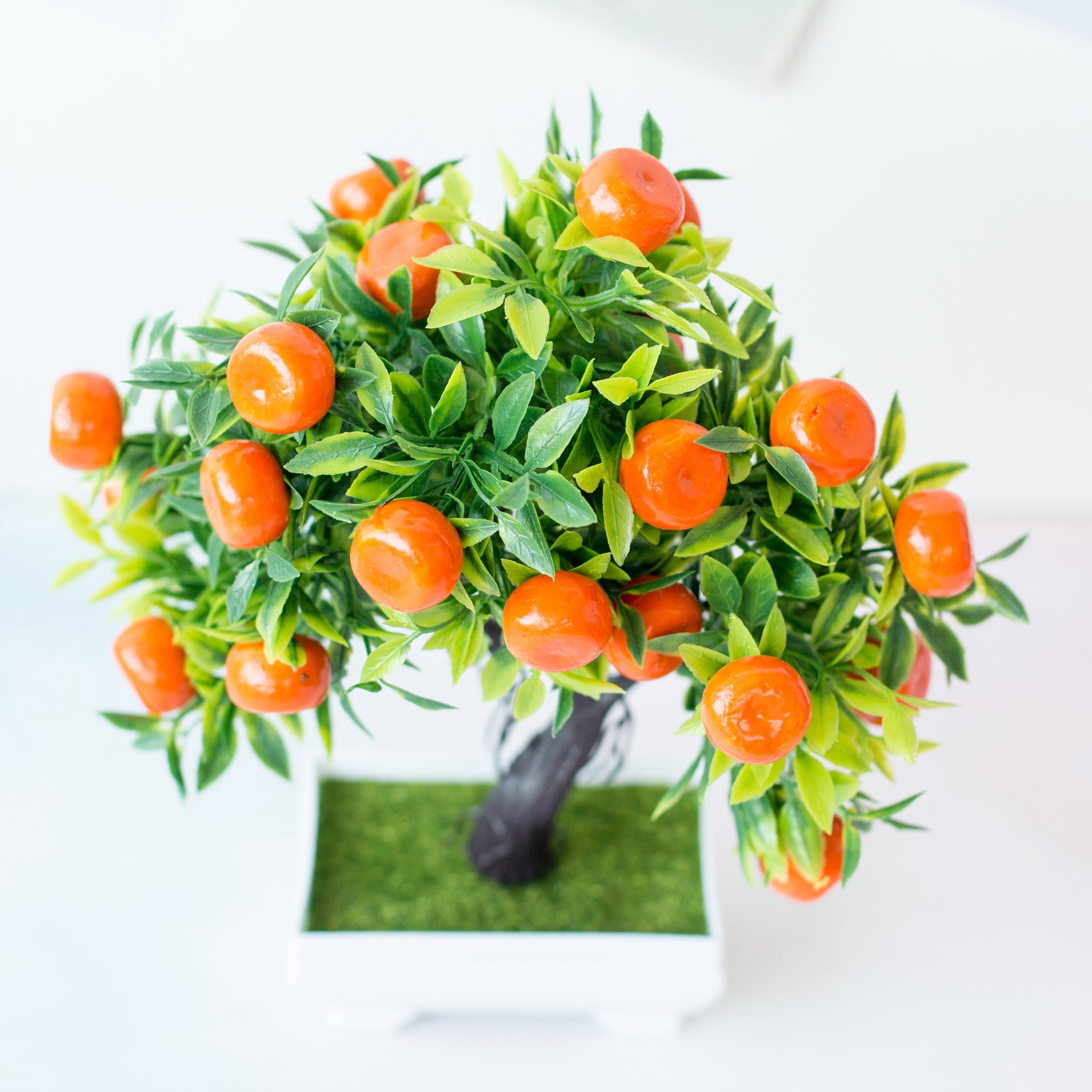 Bonsai Artificial Plants Mandarin Orange blooming Fruit Tree_虎窝淘