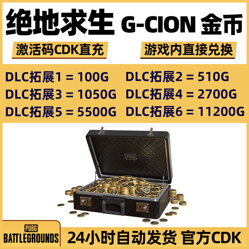 pubgg币PUBG皮肤cdk绝地求生G-coin金币充值吃鸡steam兑换激活码_虎窝淘